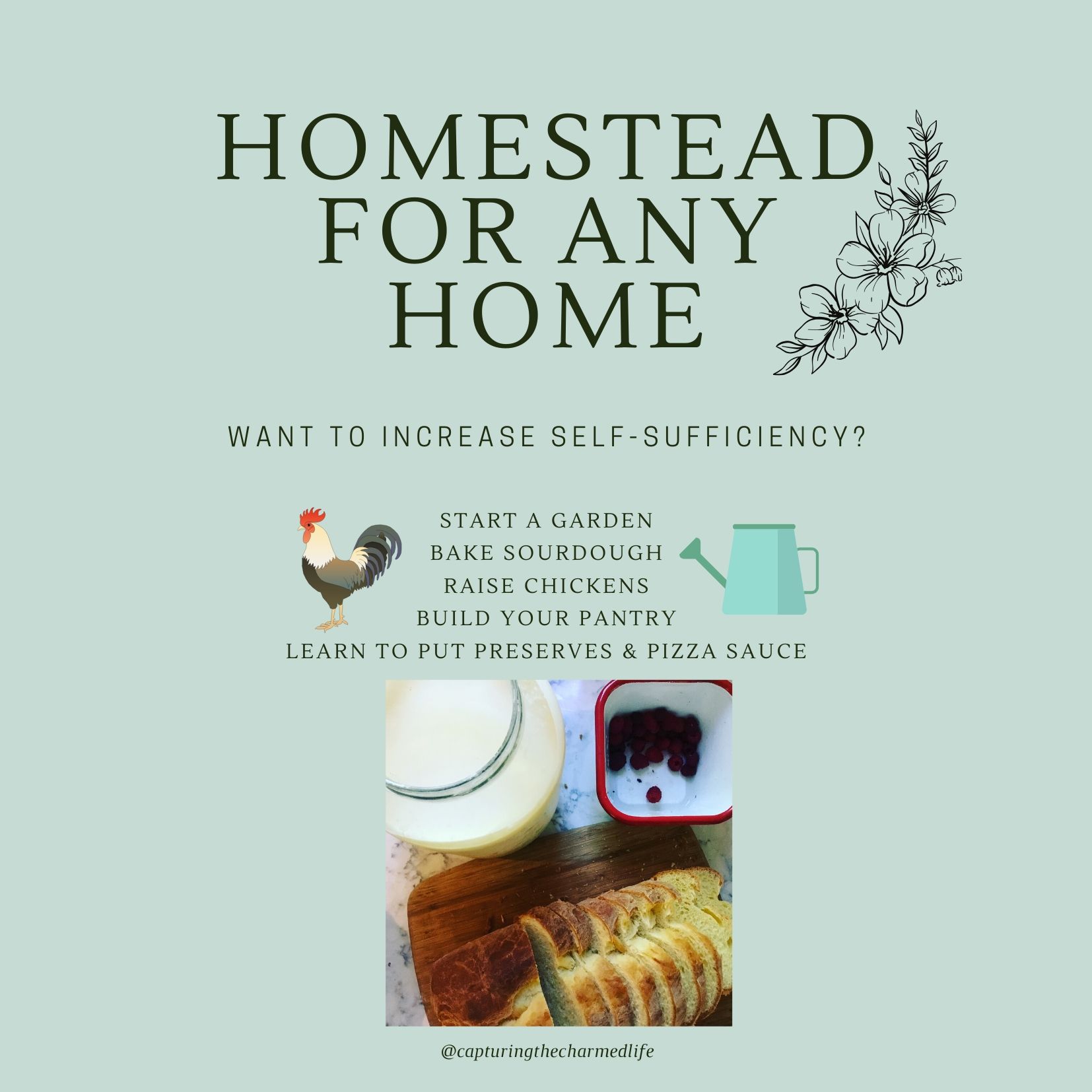 if you're getting started: how to homestead in any home