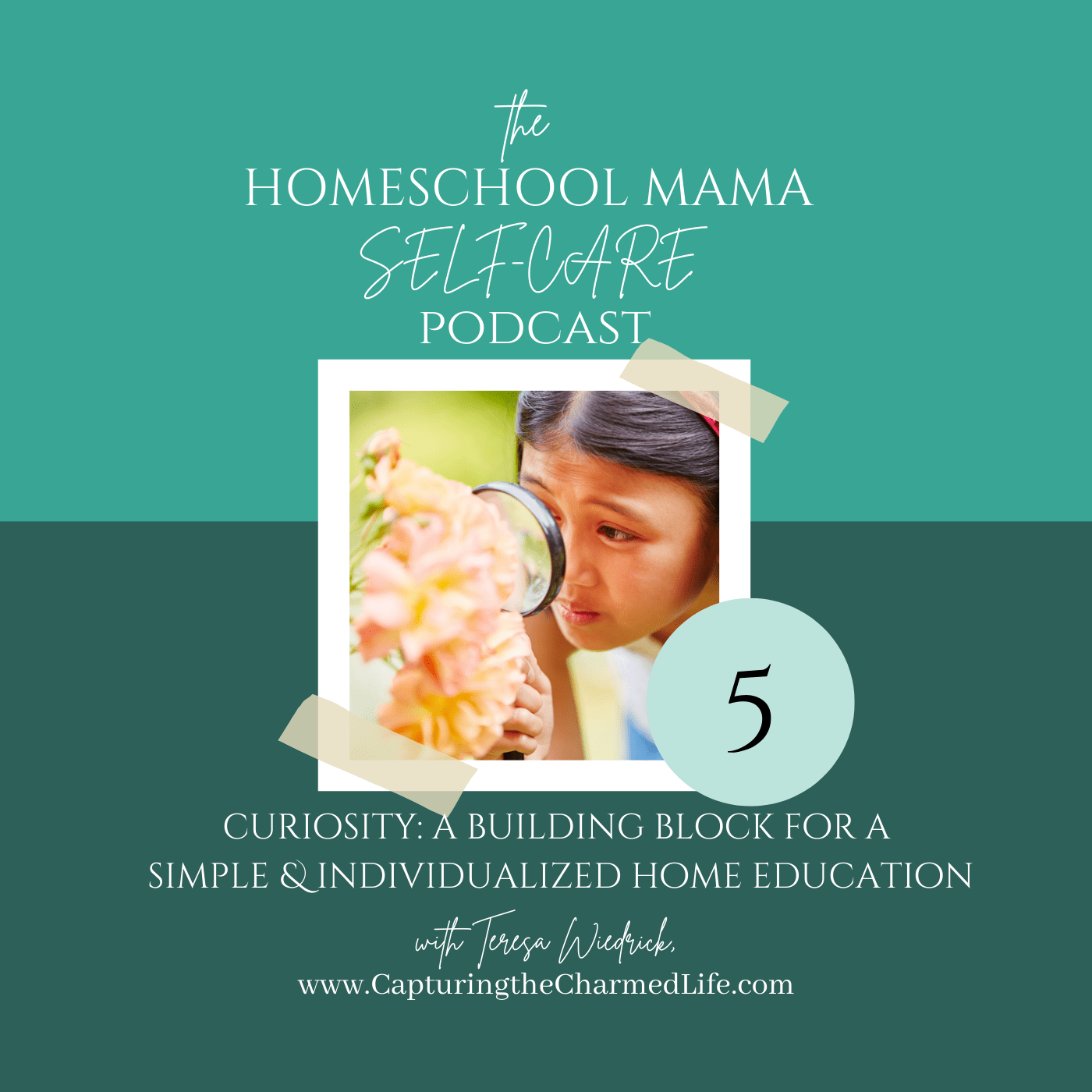 curiosity and education: how to facilitate it