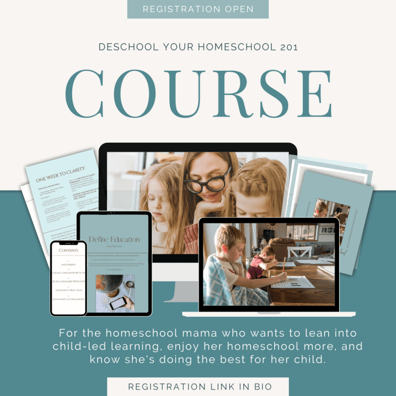 Deschool your Homeschool Coaching Course